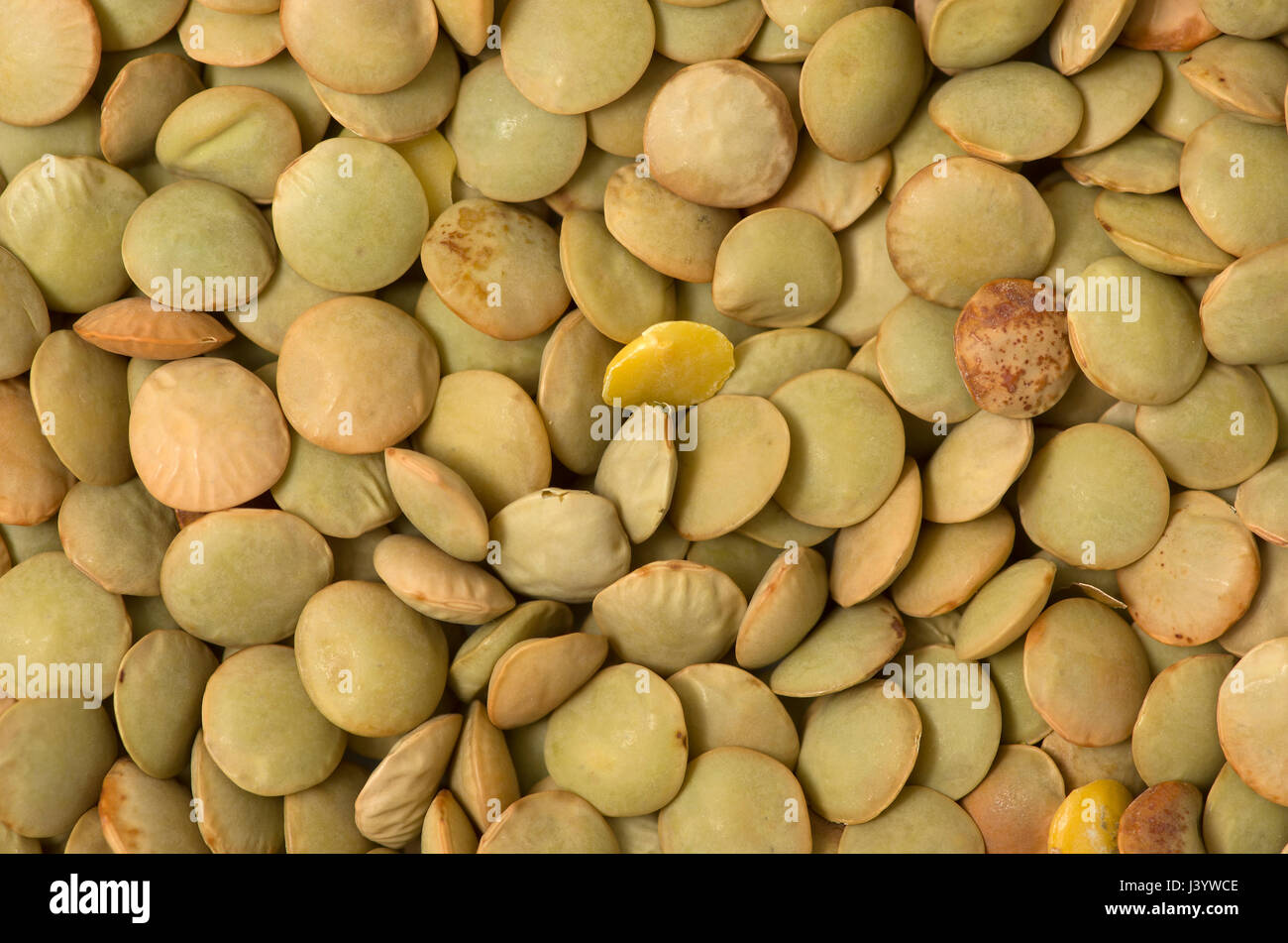 Lentil wallpaper hi-res stock photography and images - Alamy