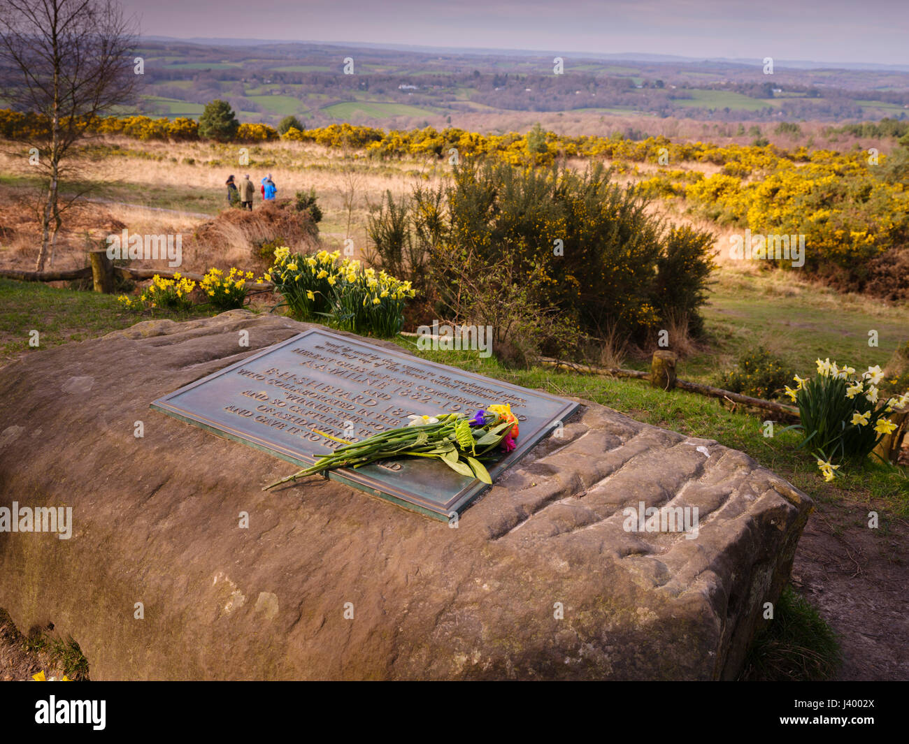 Ashdown Forest High Resolution Stock Photography and Images - Alamy