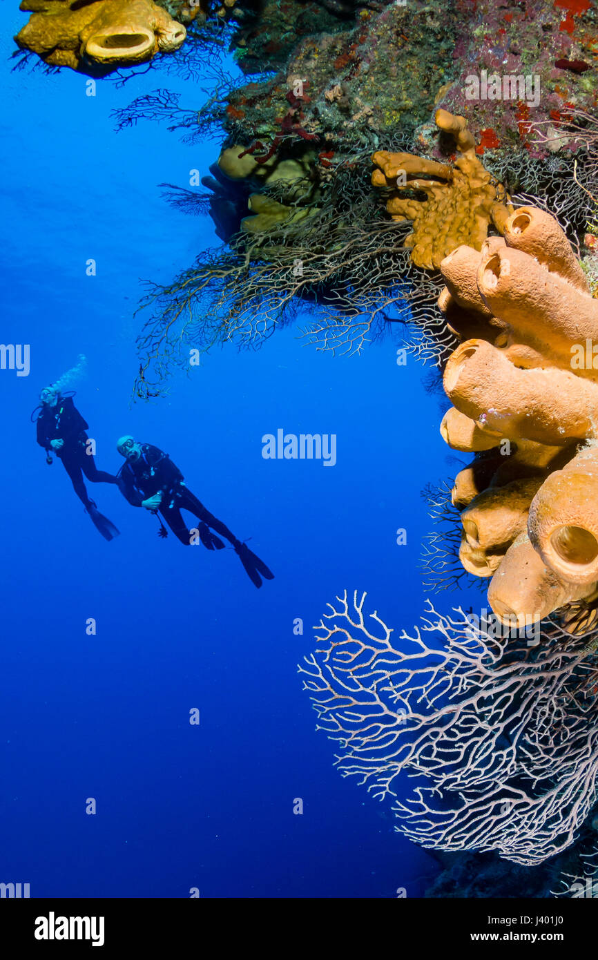 Two cliff divers hi-res stock photography and images - Alamy