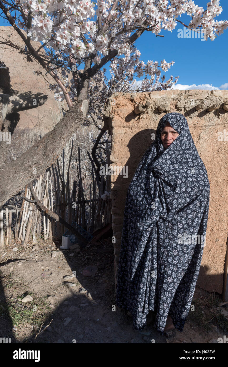 Elderly Lady Wearing Chador Under Tree In Blossom, Rooieen (Ruin), A ...