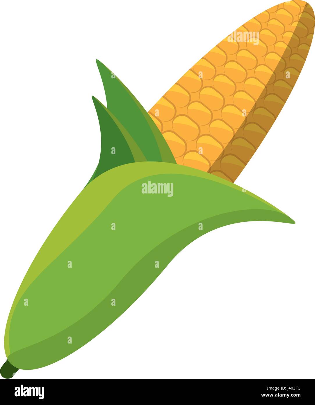 Corn forage Stock Vector Images - Alamy