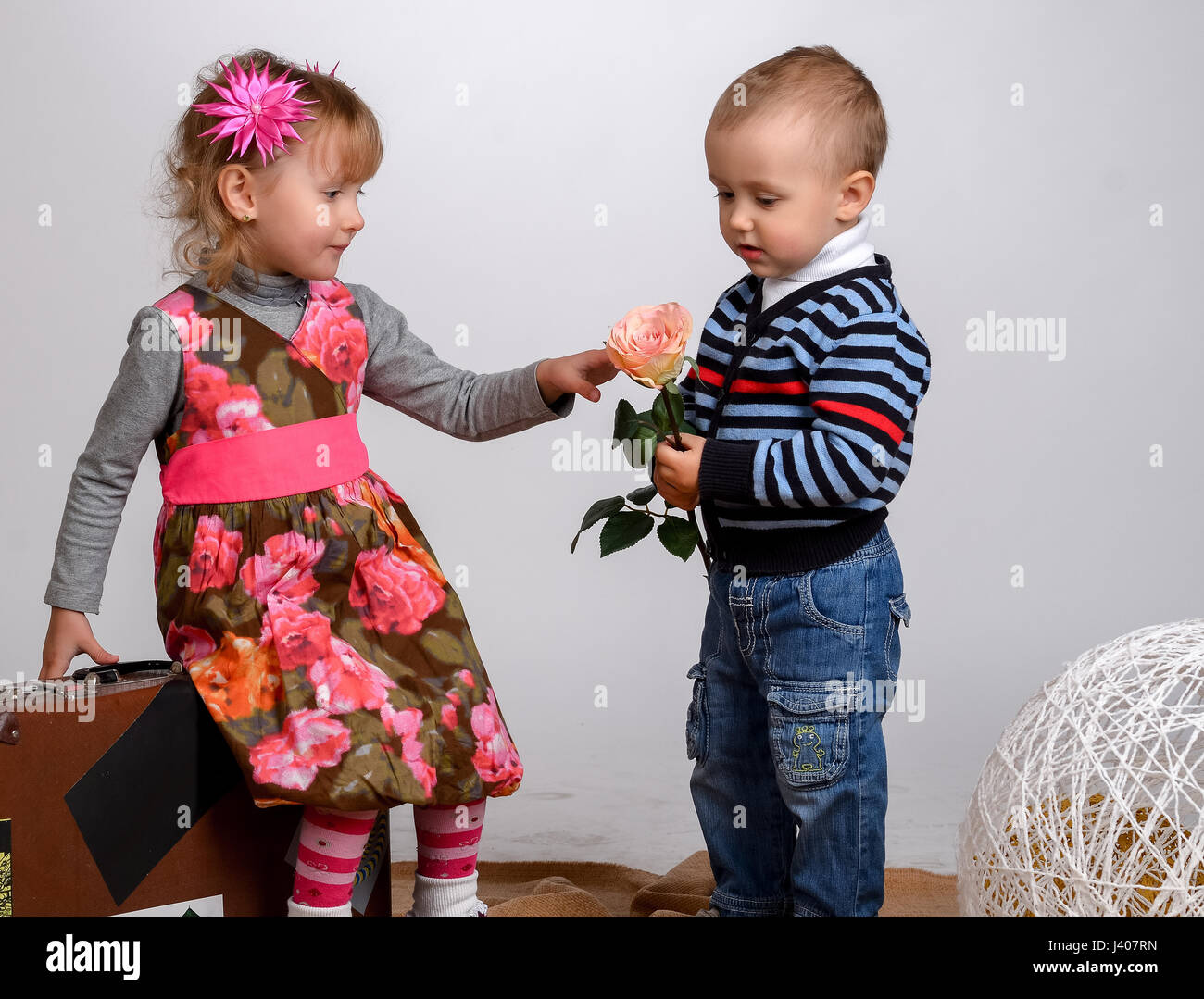 Little boy gives a girl a rose, isolated on white, Studio Stock Photo ...