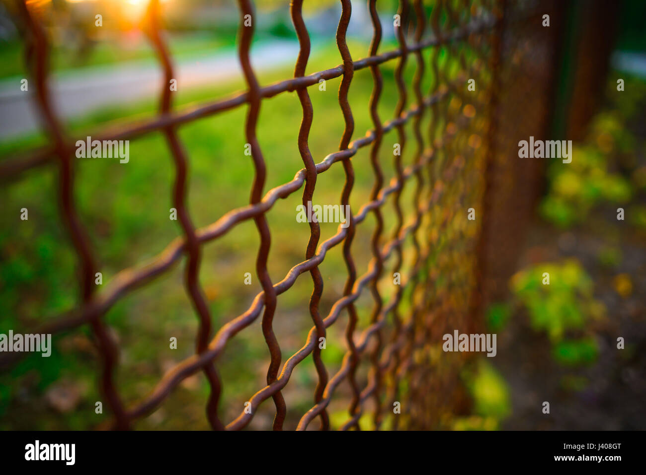 fence with metal grid in perspective, background Stock Photo - Alamy