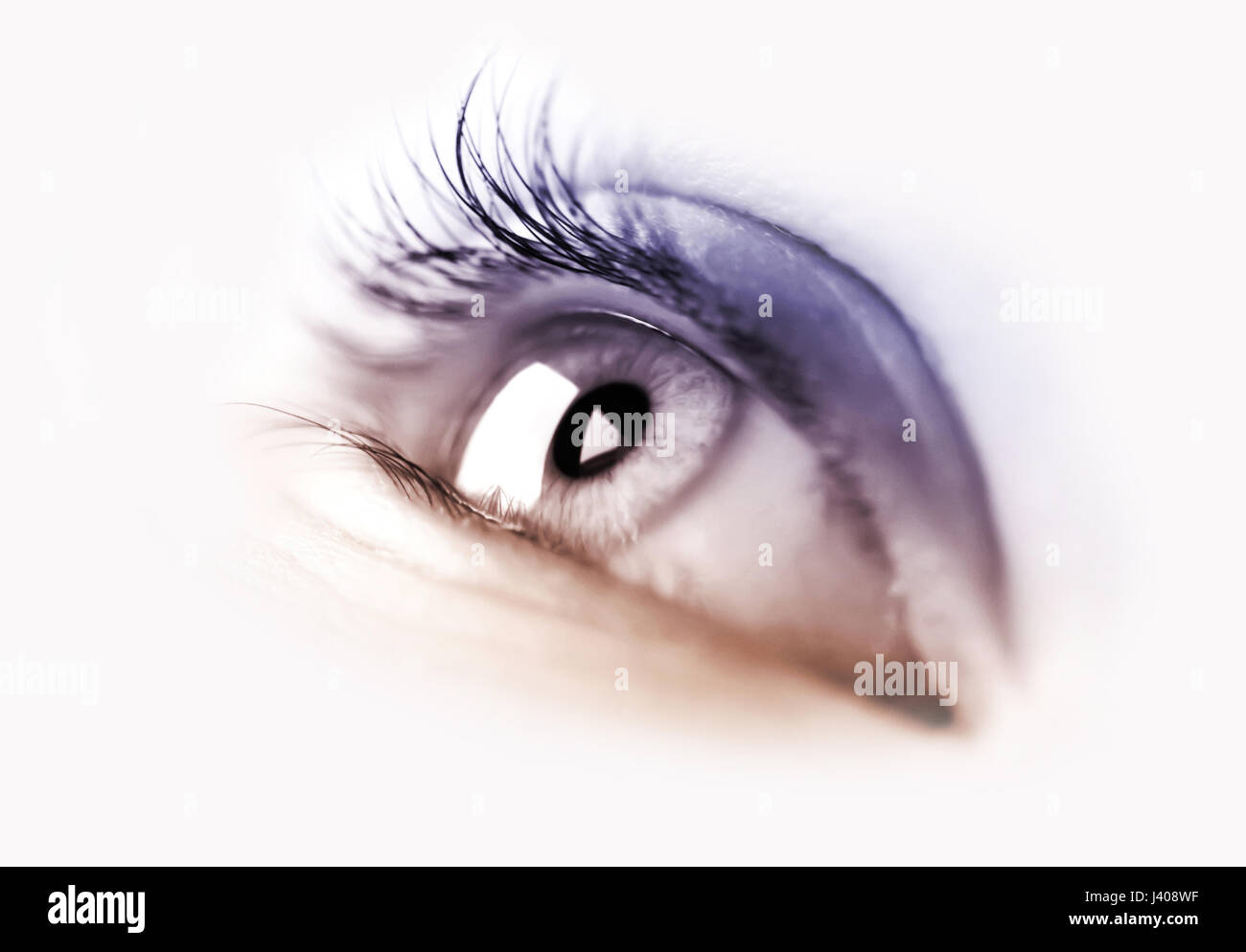 Eye close up Stock Photo - Alamy
