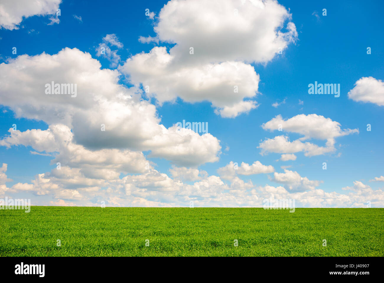 Green grass and blue sky with white clouds,background Stock Photo - Alamy