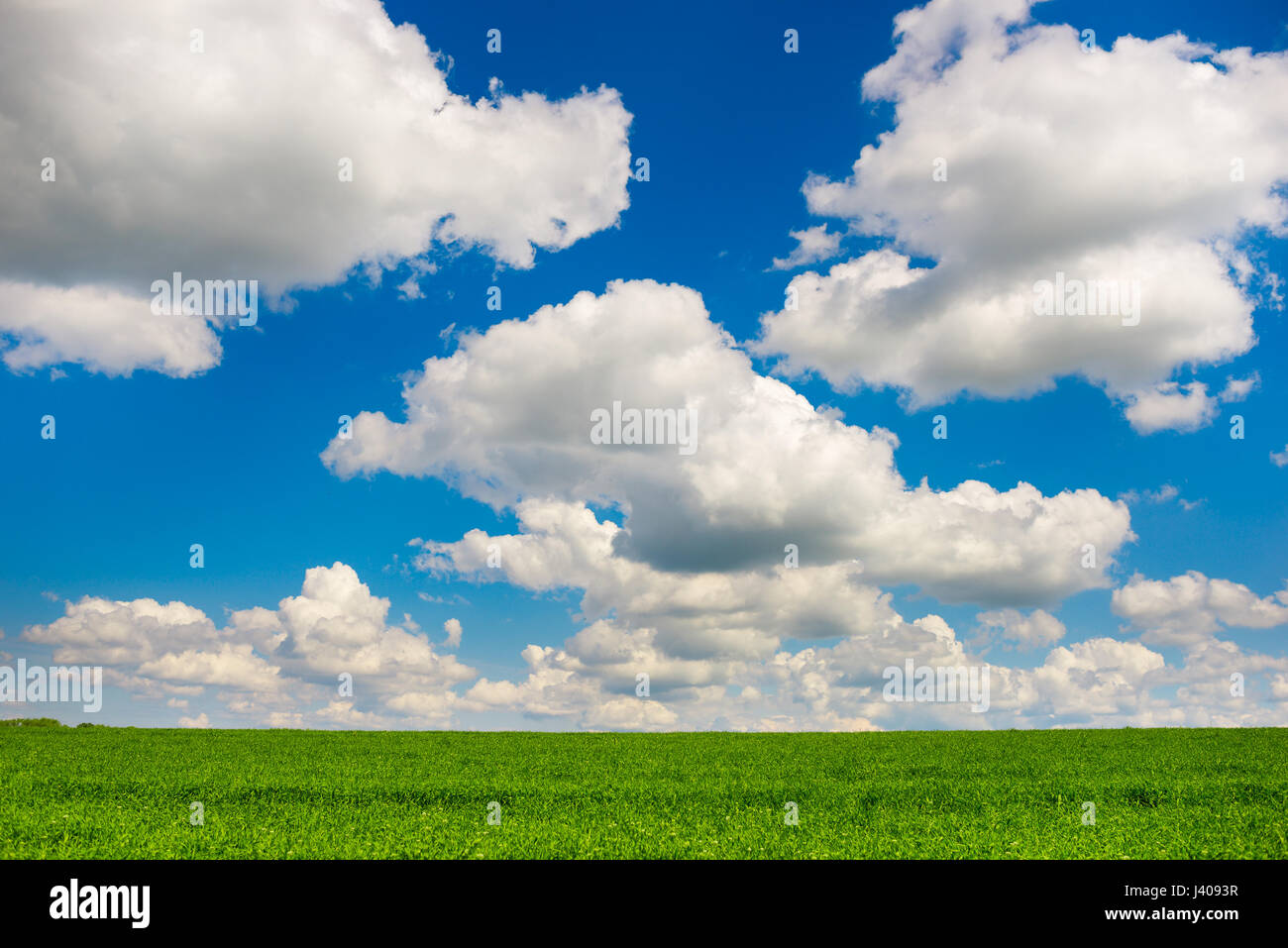 Green grass and blue sky with white clouds,background Stock Photo - Alamy