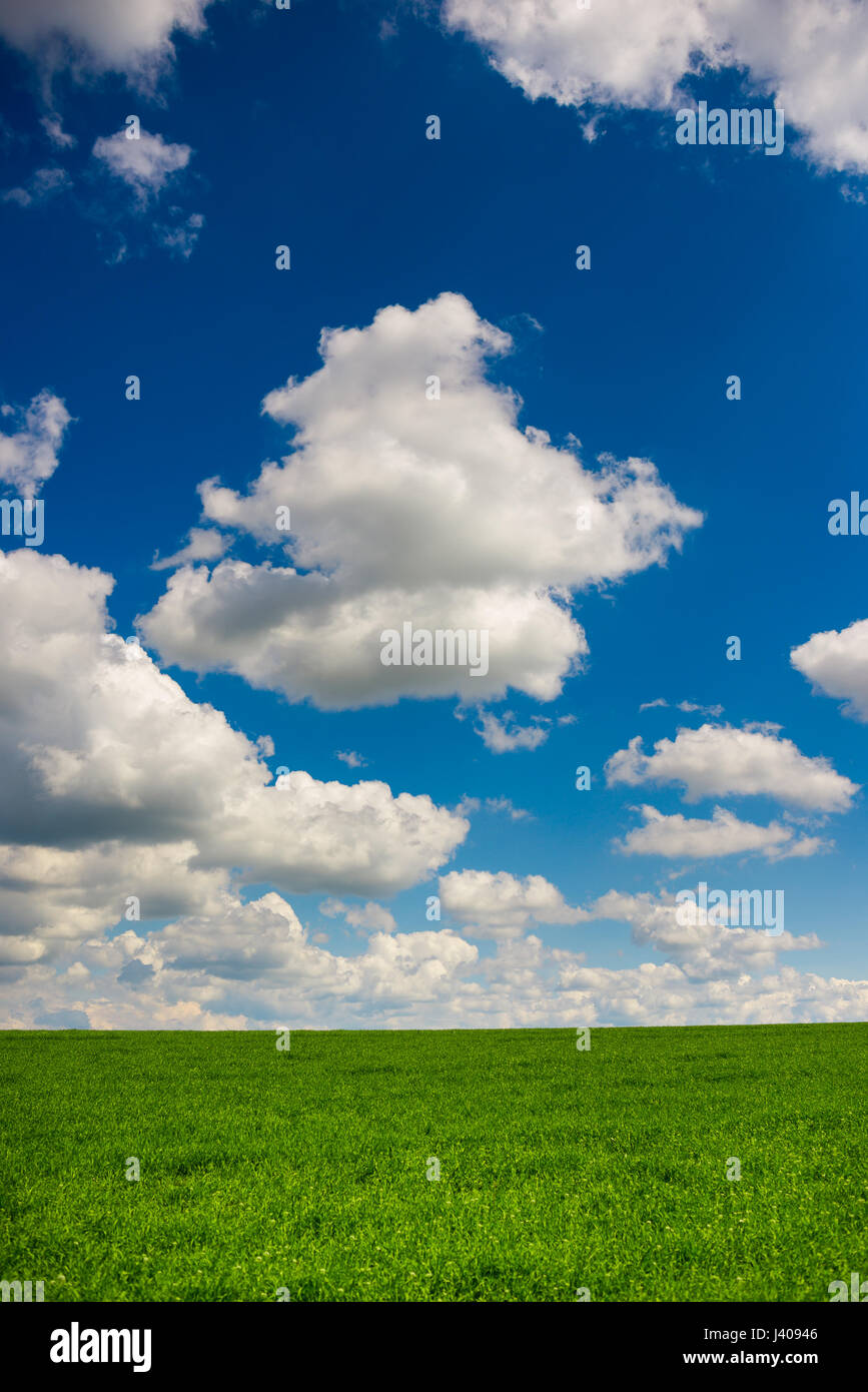 Green grass and blue sky with white clouds,background Stock Photo - Alamy