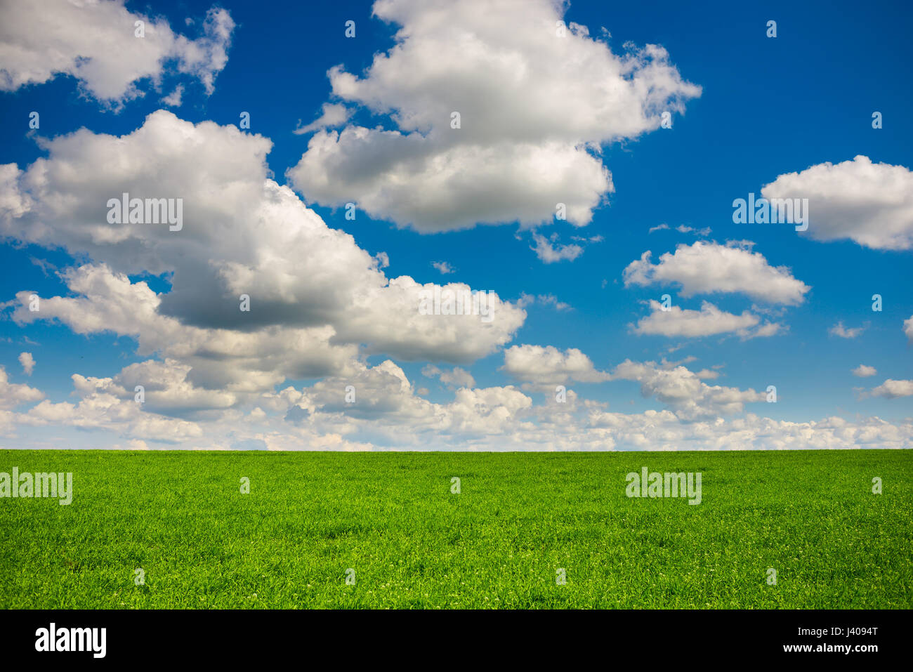 Green grass and blue sky with white clouds,background Stock Photo - Alamy