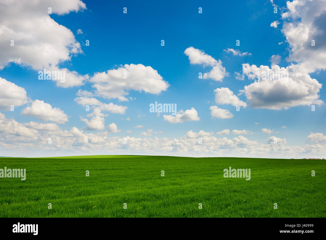 Green grass and blue sky with white clouds,background Stock Photo - Alamy