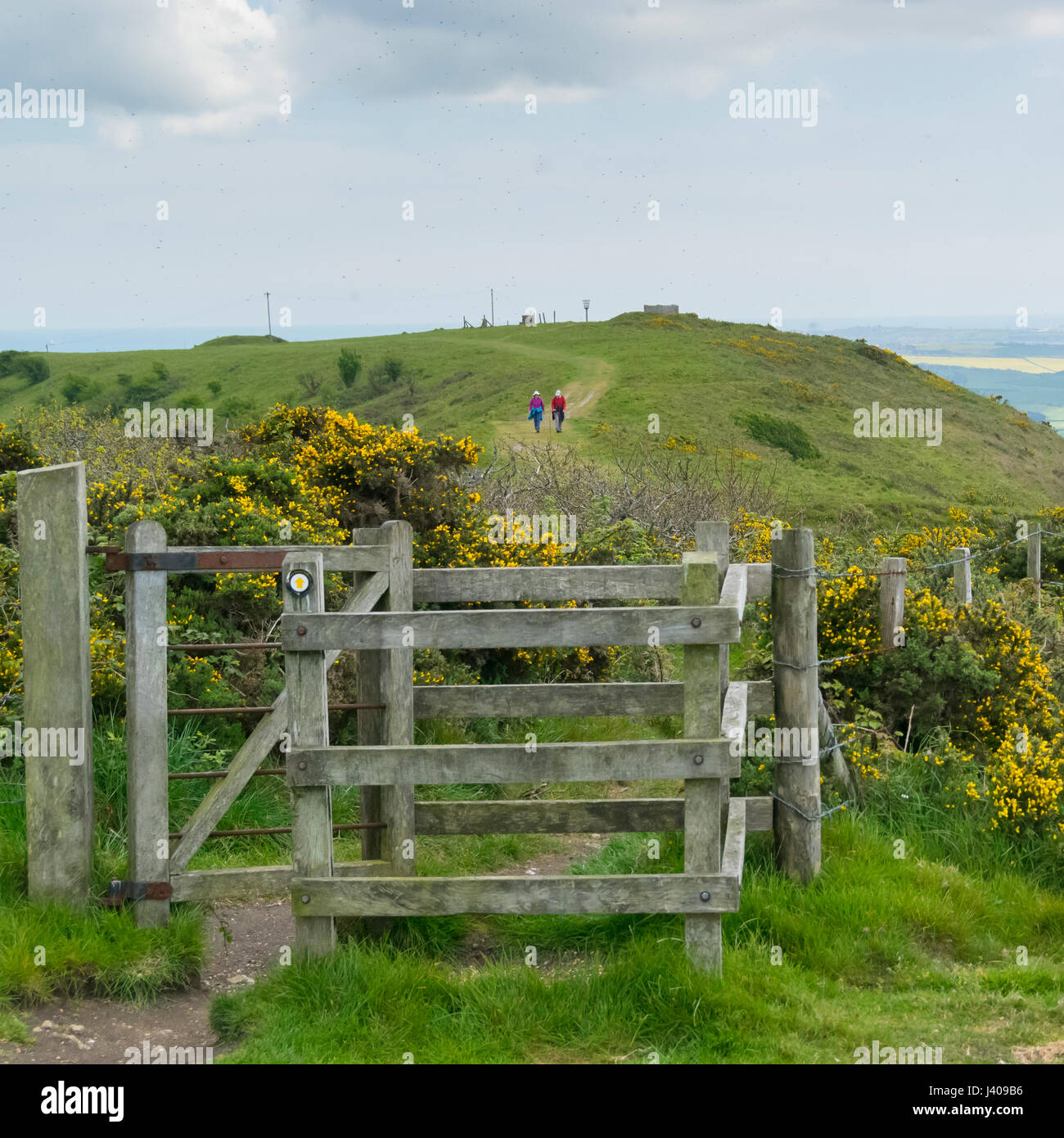 Walkers on the South Dorset Ridgeway Stock Photo - Alamy