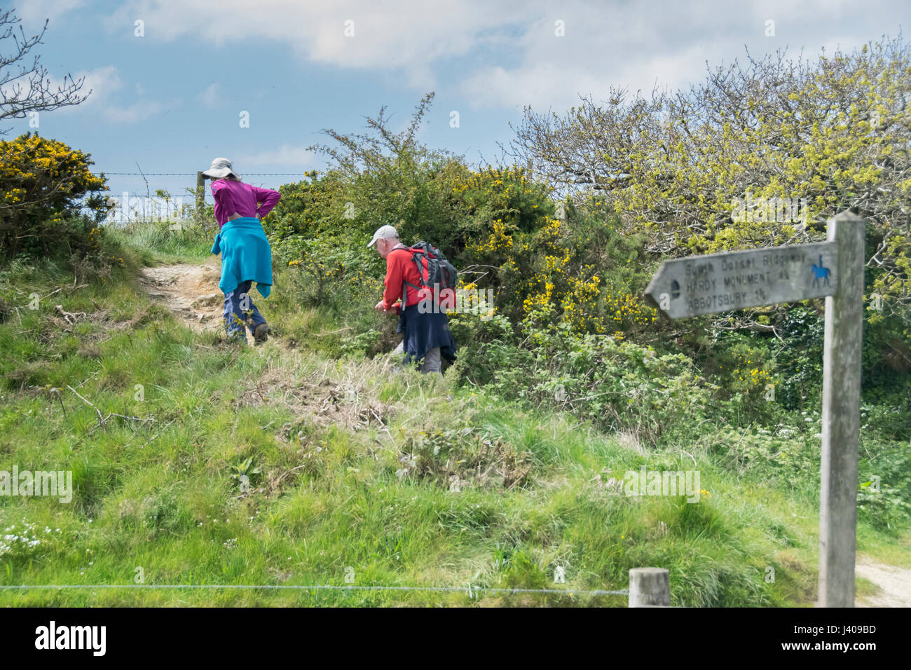 South Dorset Ridgeway High Resolution Stock Photography and Images - Alamy