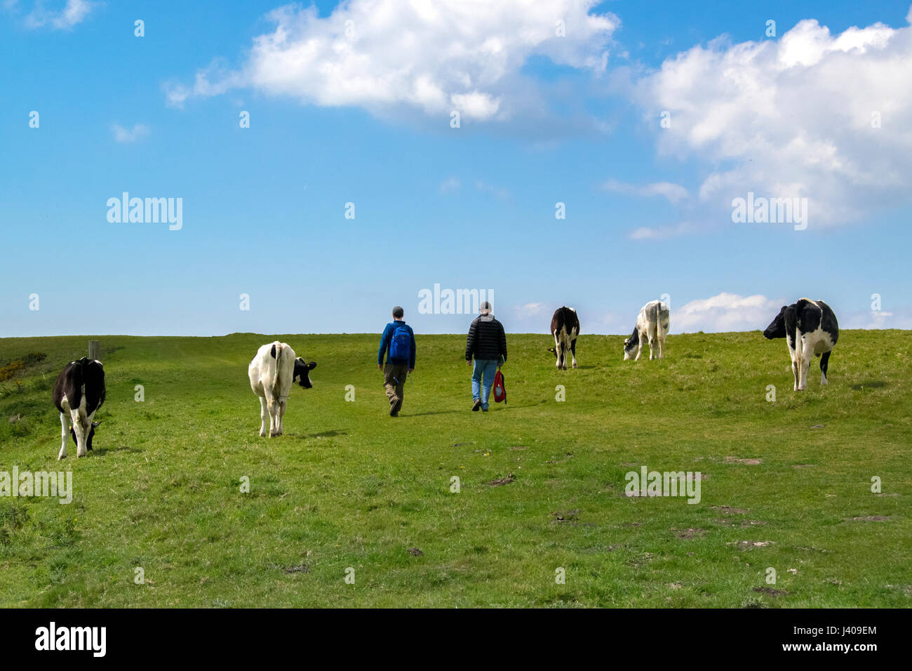 SOUTH DORSET RIDGEWAY Stock Photo - Alamy