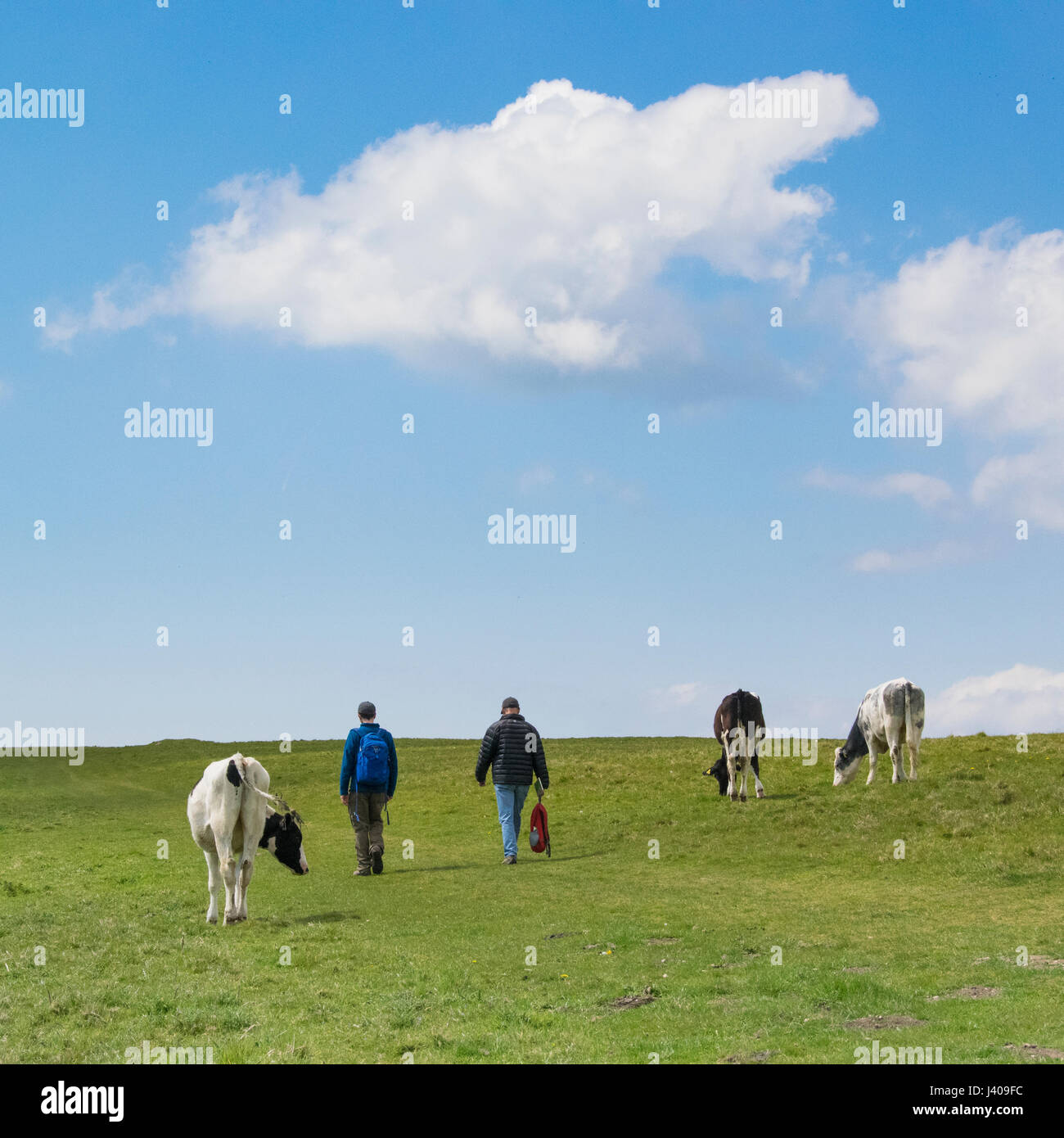 SOUTH DORSET RIDGEWAY Stock Photo - Alamy