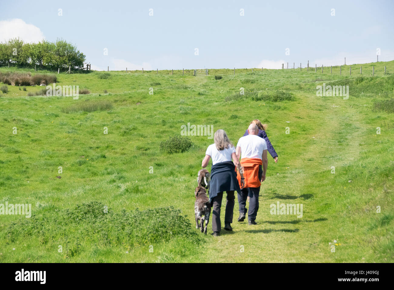 SOUTH DORSET RIDGEWAY Stock Photo - Alamy