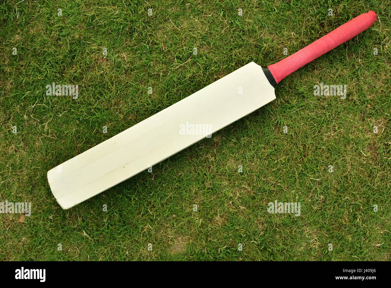 Cricket bat on green grass Stock Photo - Alamy