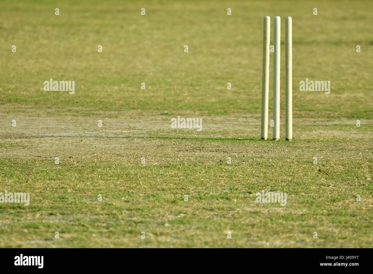 Cricket Pitch Close Up Stock Photos & Cricket Pitch Close Up Stock ...