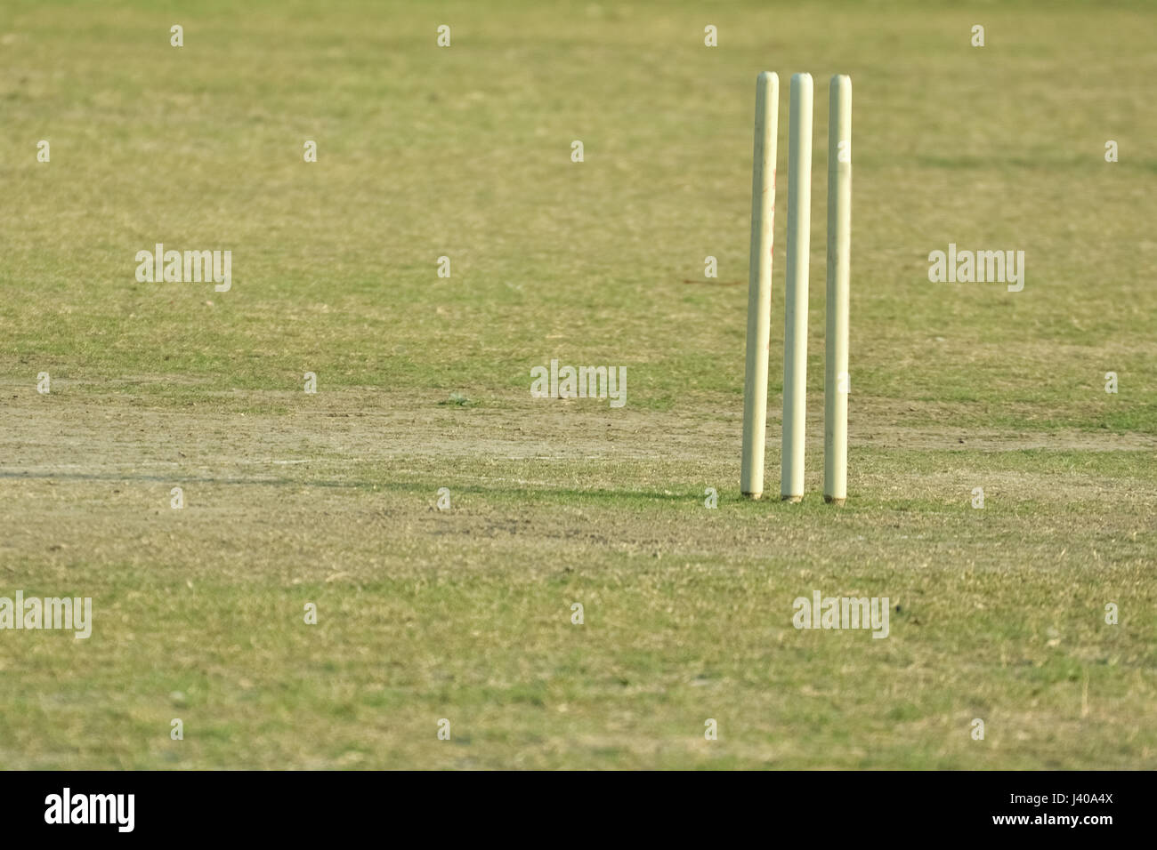 Empty cricket pitch Stock Photo - Alamy