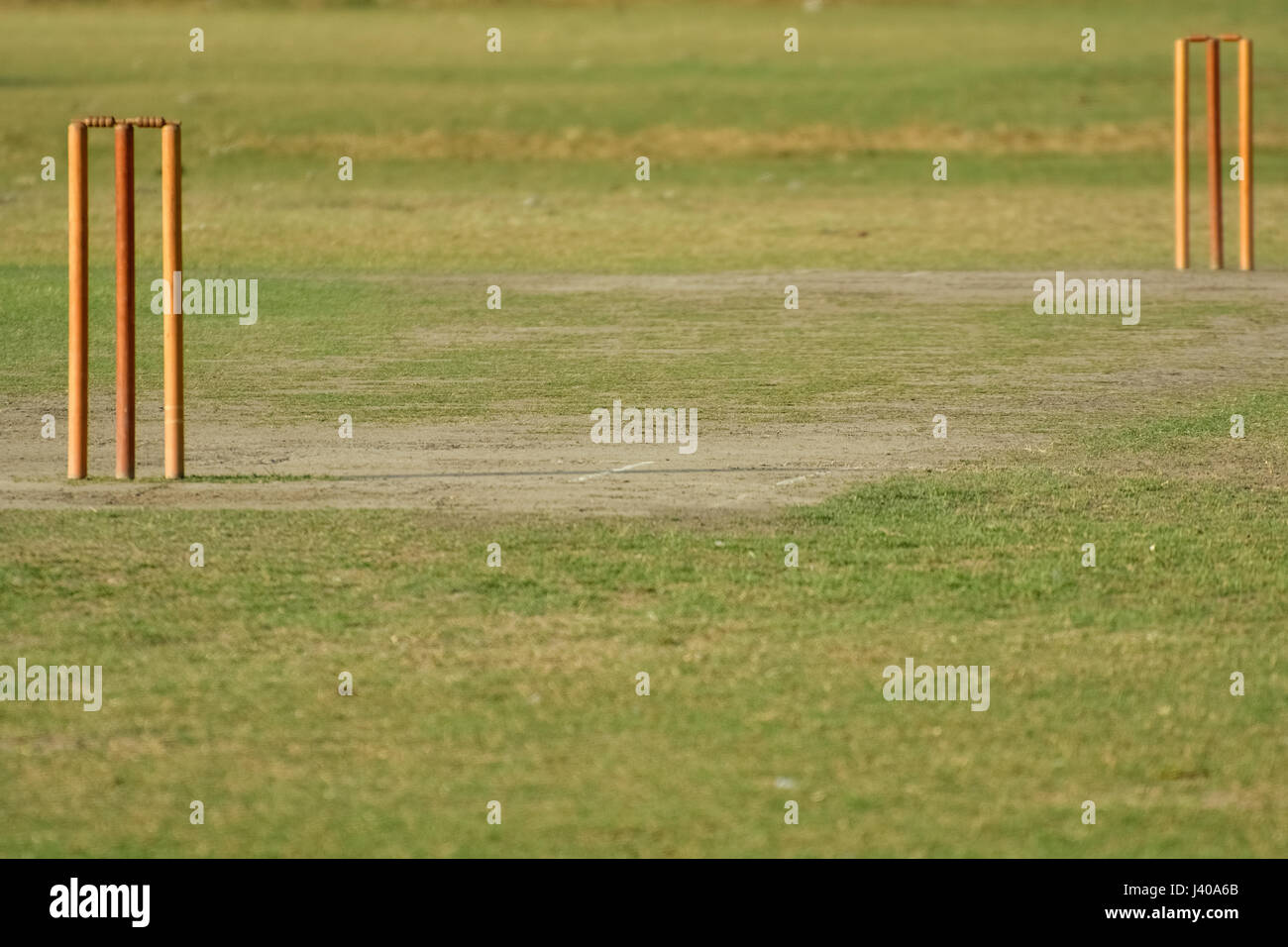 Empty cricket pitch Stock Photo - Alamy