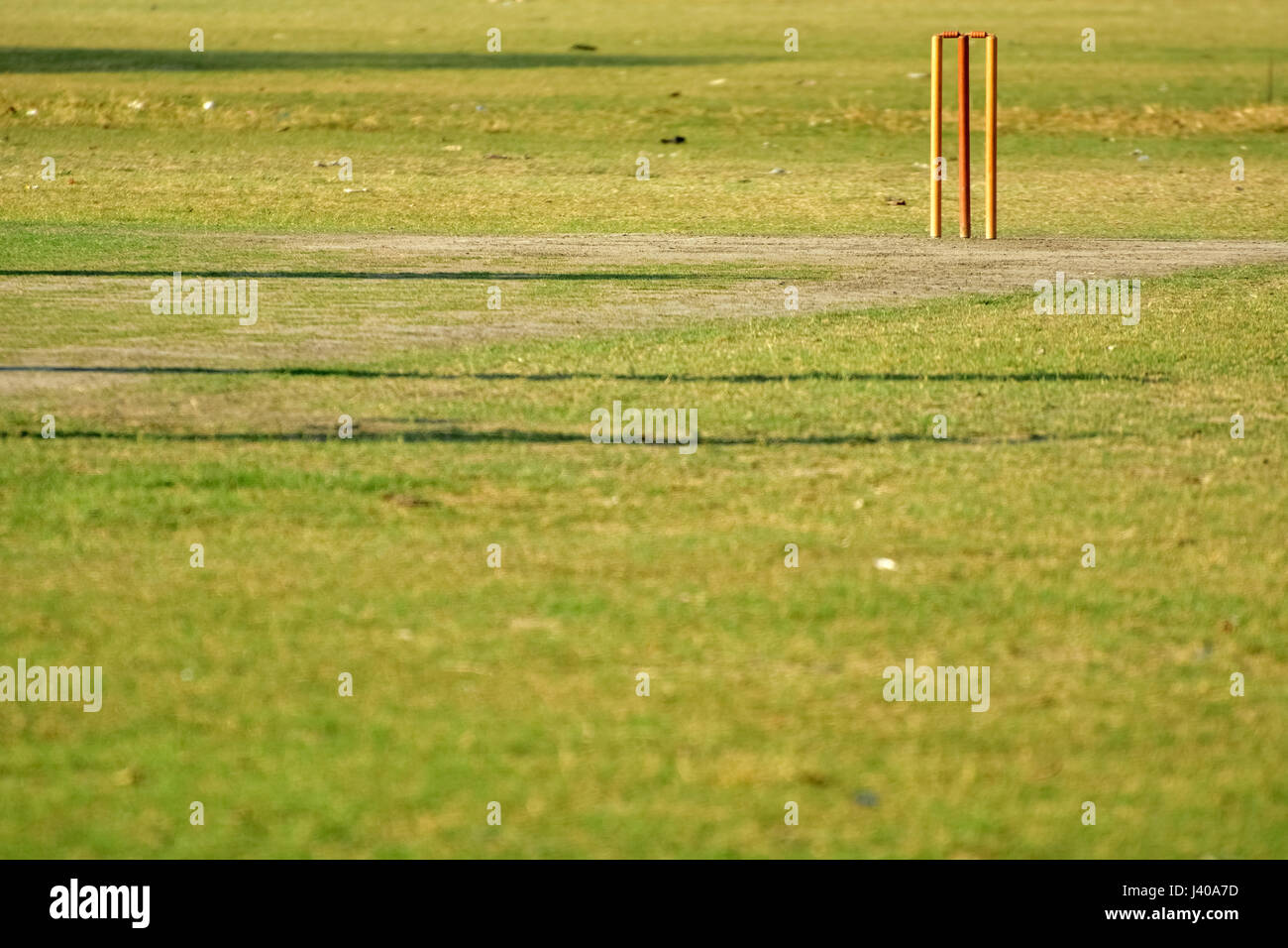 Cricket Ground Pitch Wallpapers