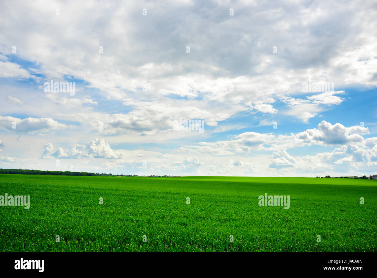 Green grass field and bright blue sky Stock Photo - Alamy