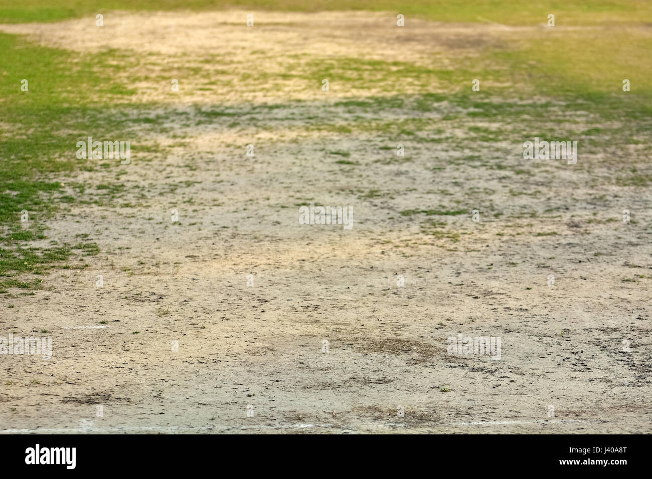 Empty cricket pitch Stock Photo - Alamy
