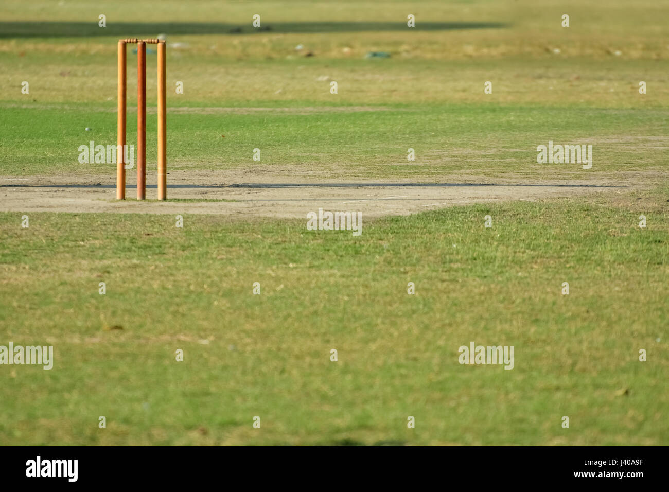 Empty cricket pitch Stock Photo - Alamy
