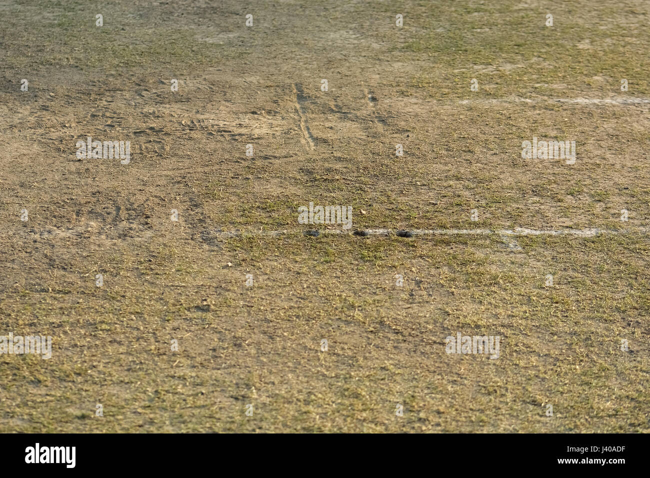 Empty cricket pitch hi-res stock photography and images - Alamy