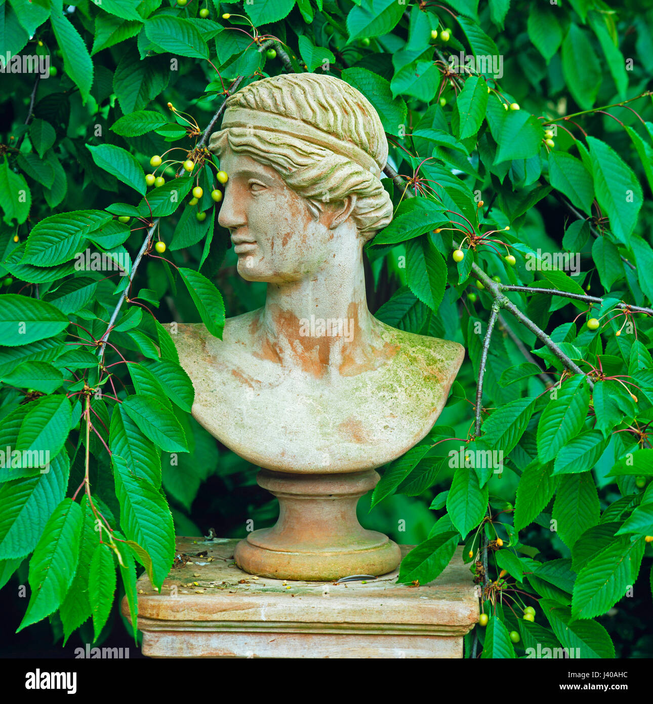 Roman garden sculpture hi-res stock photography and images - Alamy