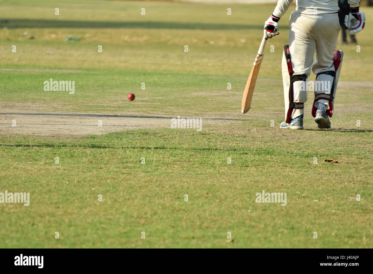 cricket batsman is running Stock Photo - Alamy