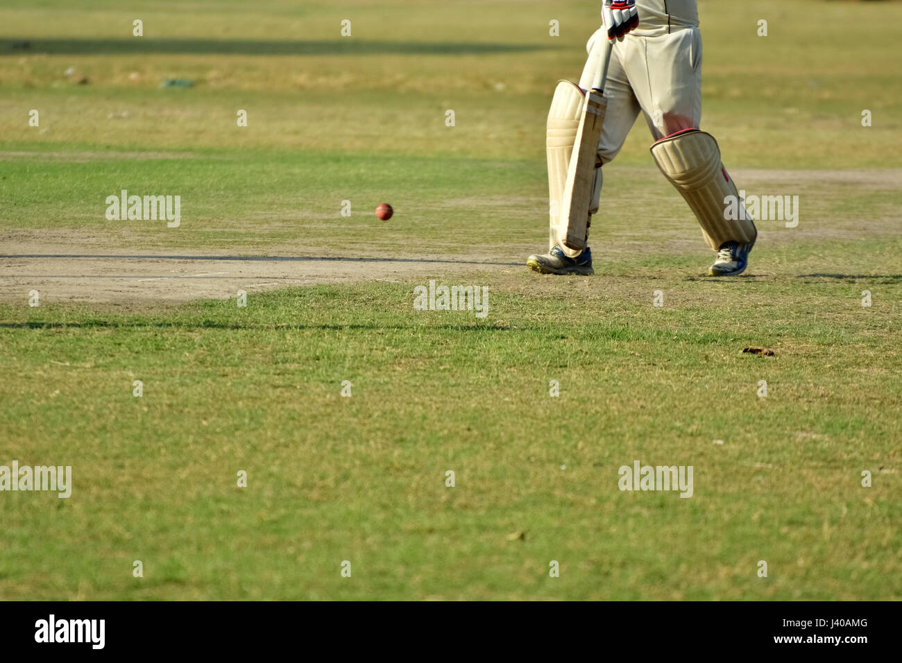 cricket batsman is running Stock Photo - Alamy