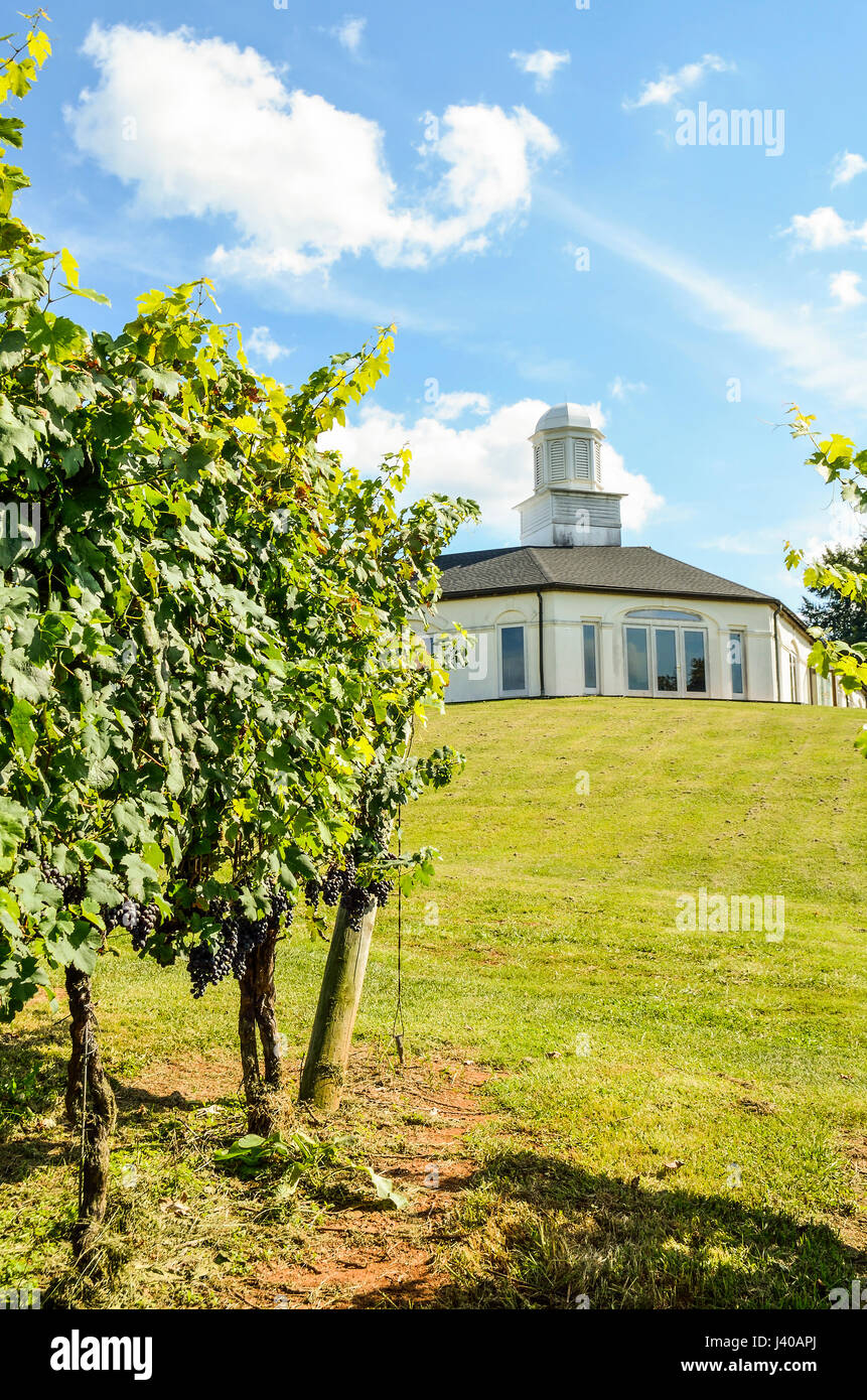 Barboursville virginia hi-res stock photography and images - Alamy
