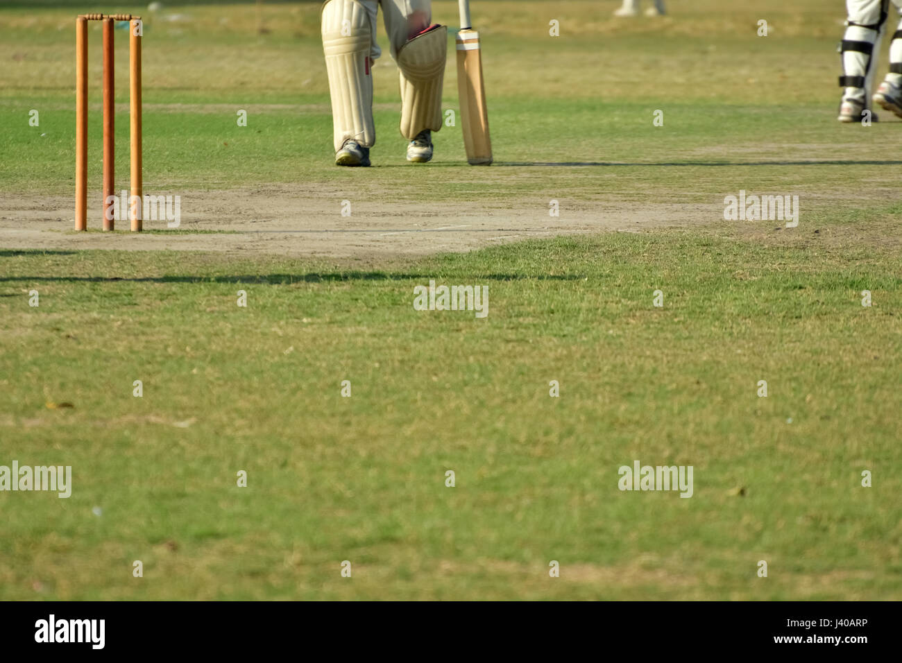 Cricket batsman is running Stock Photo - Alamy