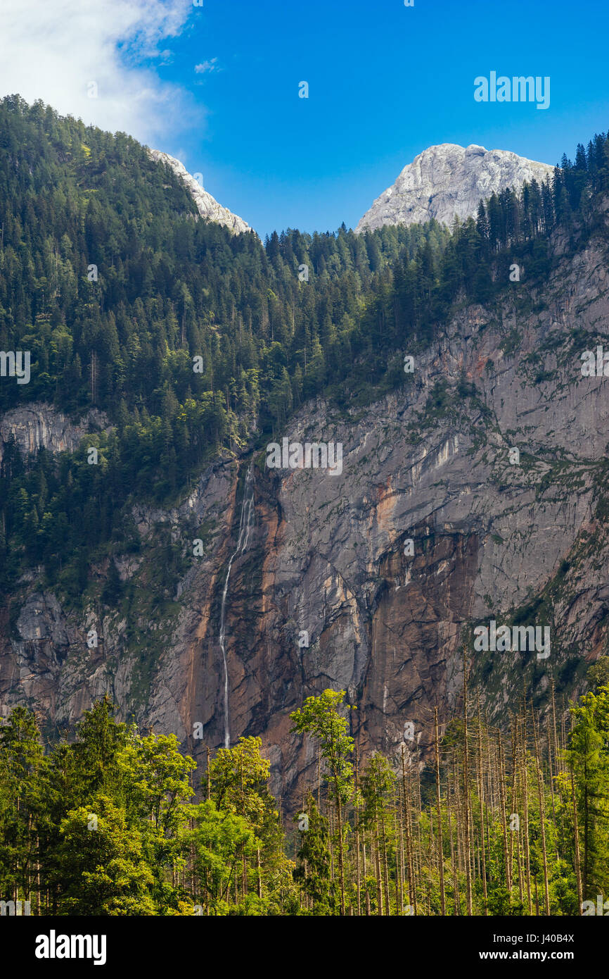 Rothbach is the highest waterfall in Germany, with a vertical drop of ...