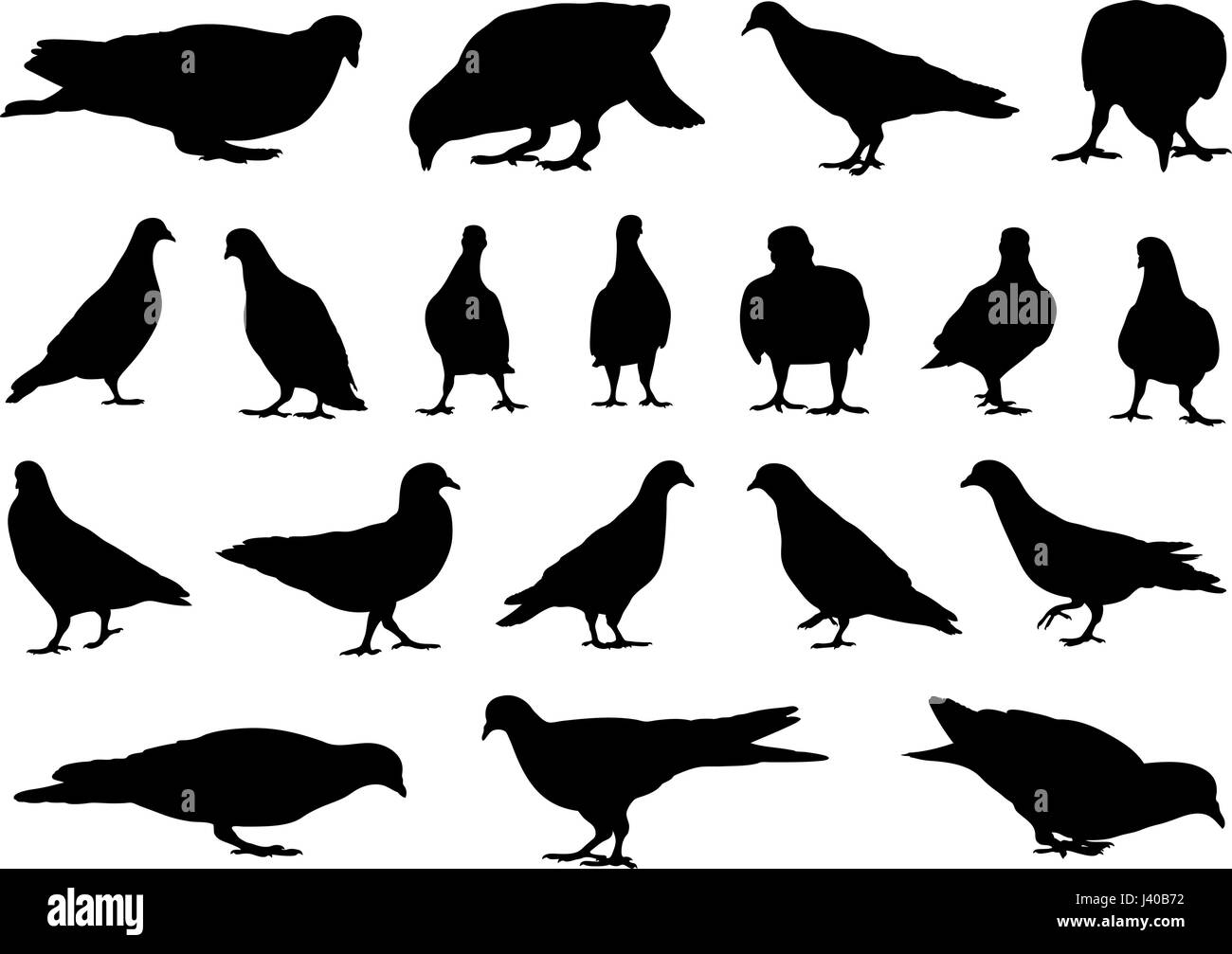 Different animals collage Stock Vector Images - Alamy