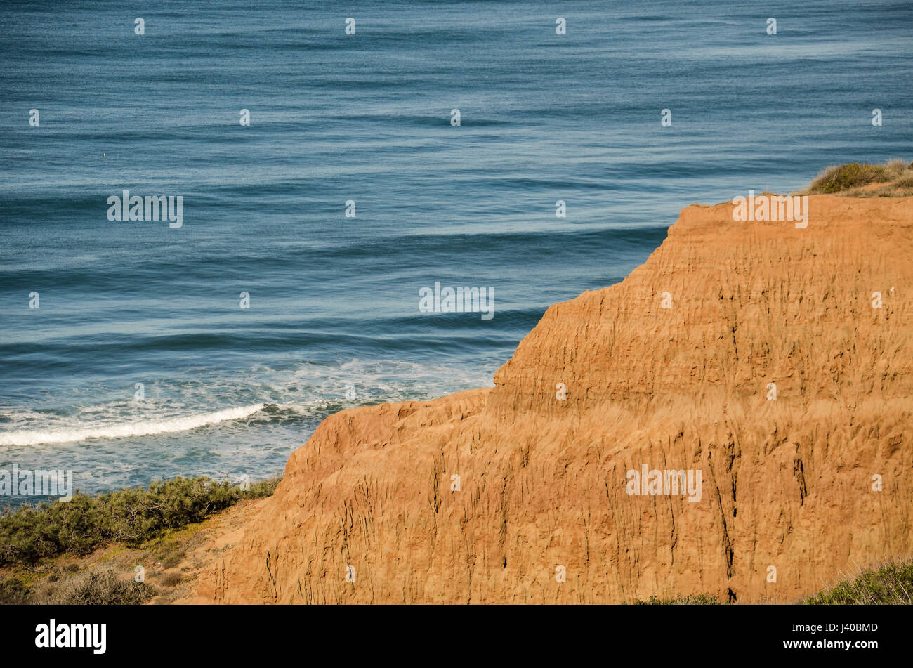 Torrey pines state park hi-res stock photography and images - Alamy