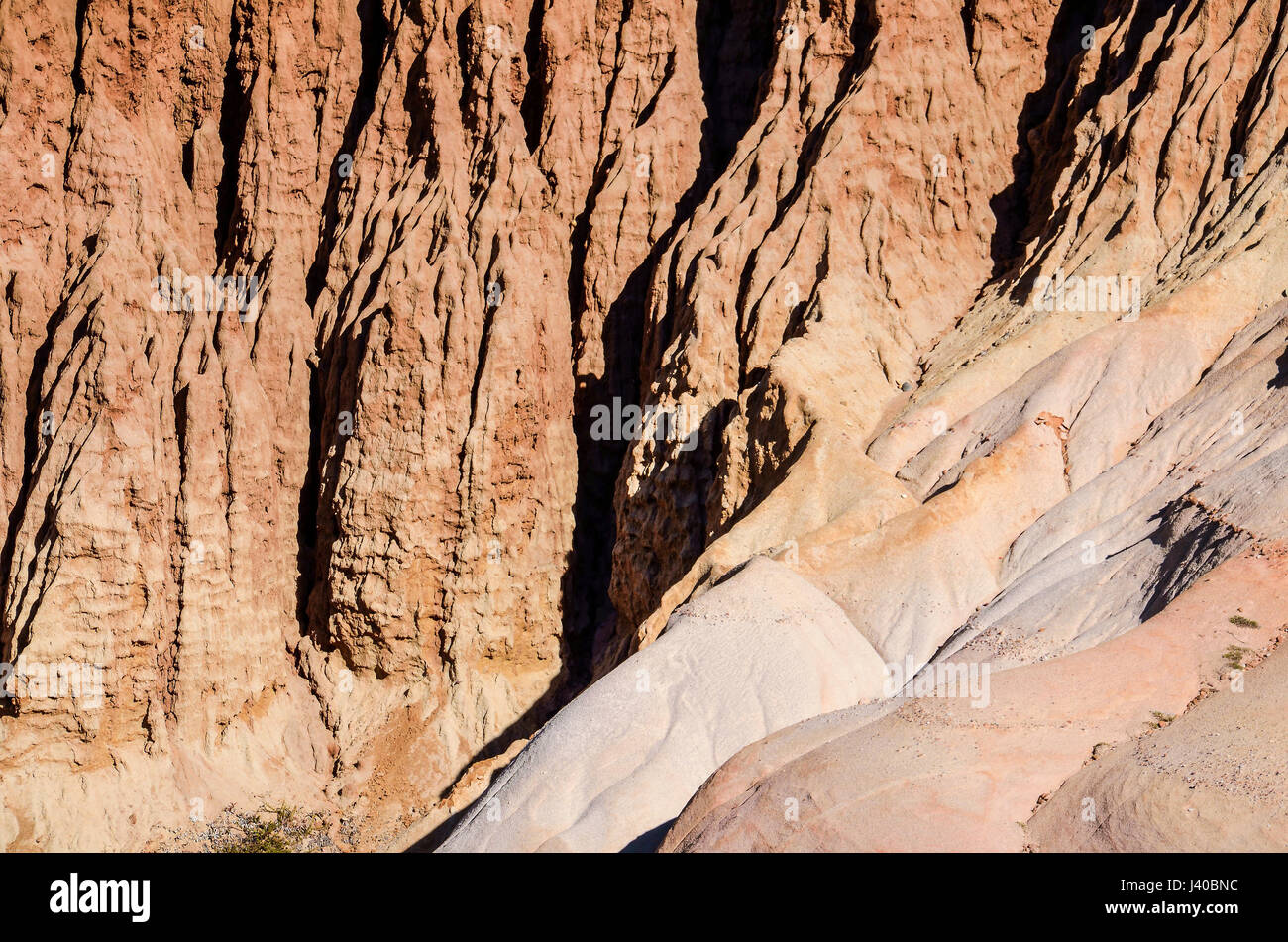Closeup pattern of torrey pine eroded sandstone cliffs on coast in La ...