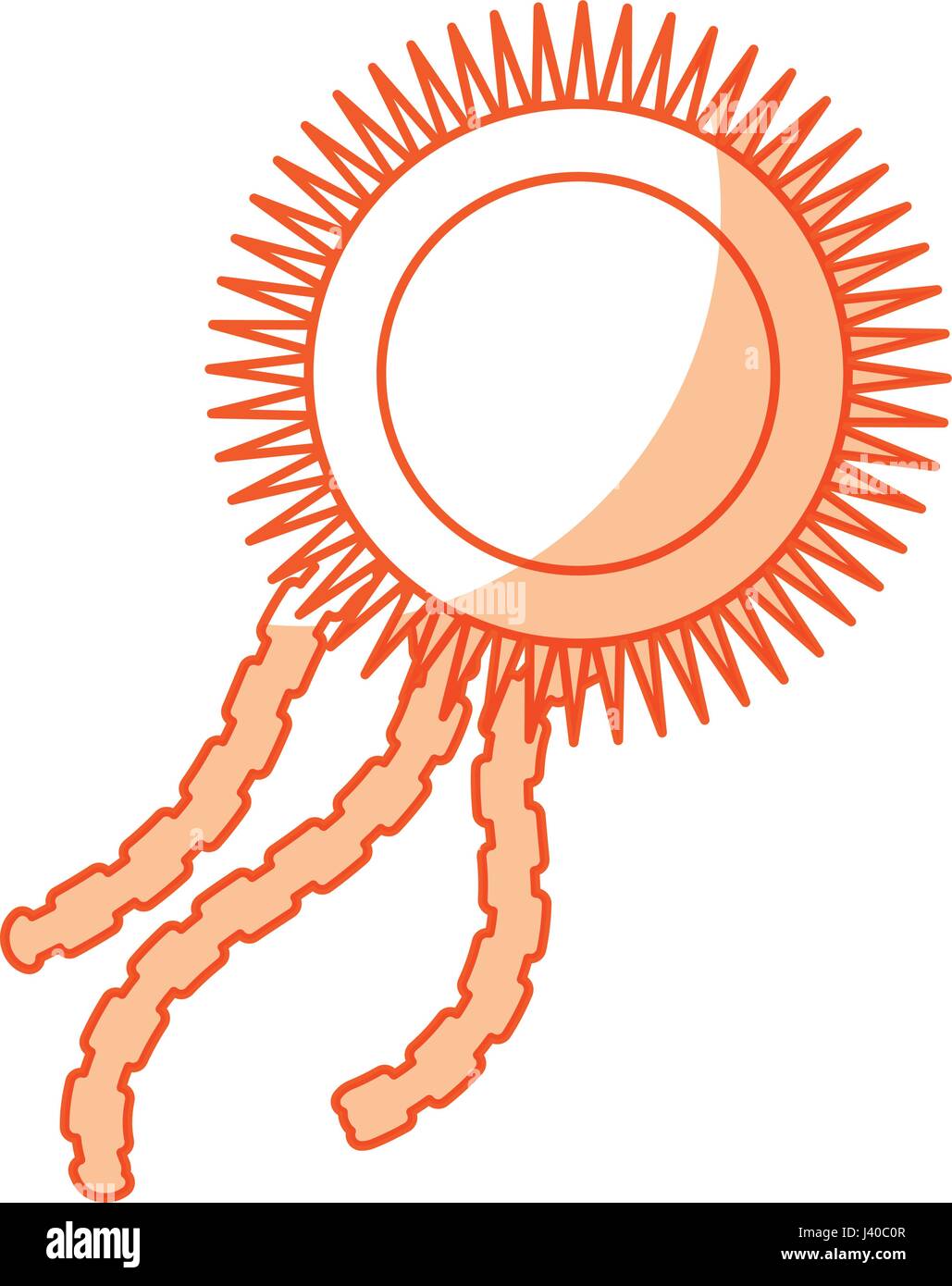 Bacterial cell structure icon Stock Vector Image & Art - Alamy