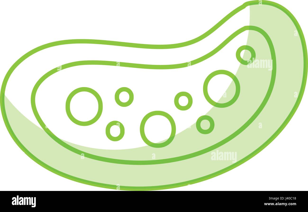 Bacterial cell structure icon Stock Vector Image & Art - Alamy