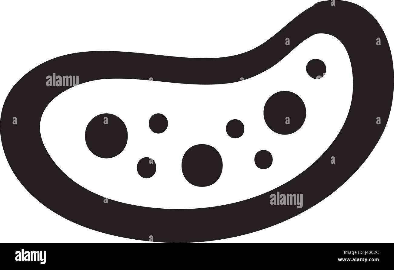 Bacterial cell structure icon Stock Vector Image & Art - Alamy