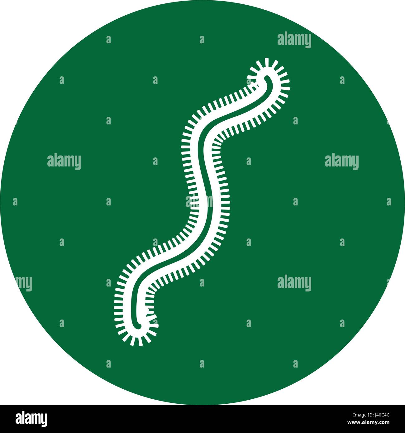 Bacterial cell structure icon Stock Vector Image & Art - Alamy