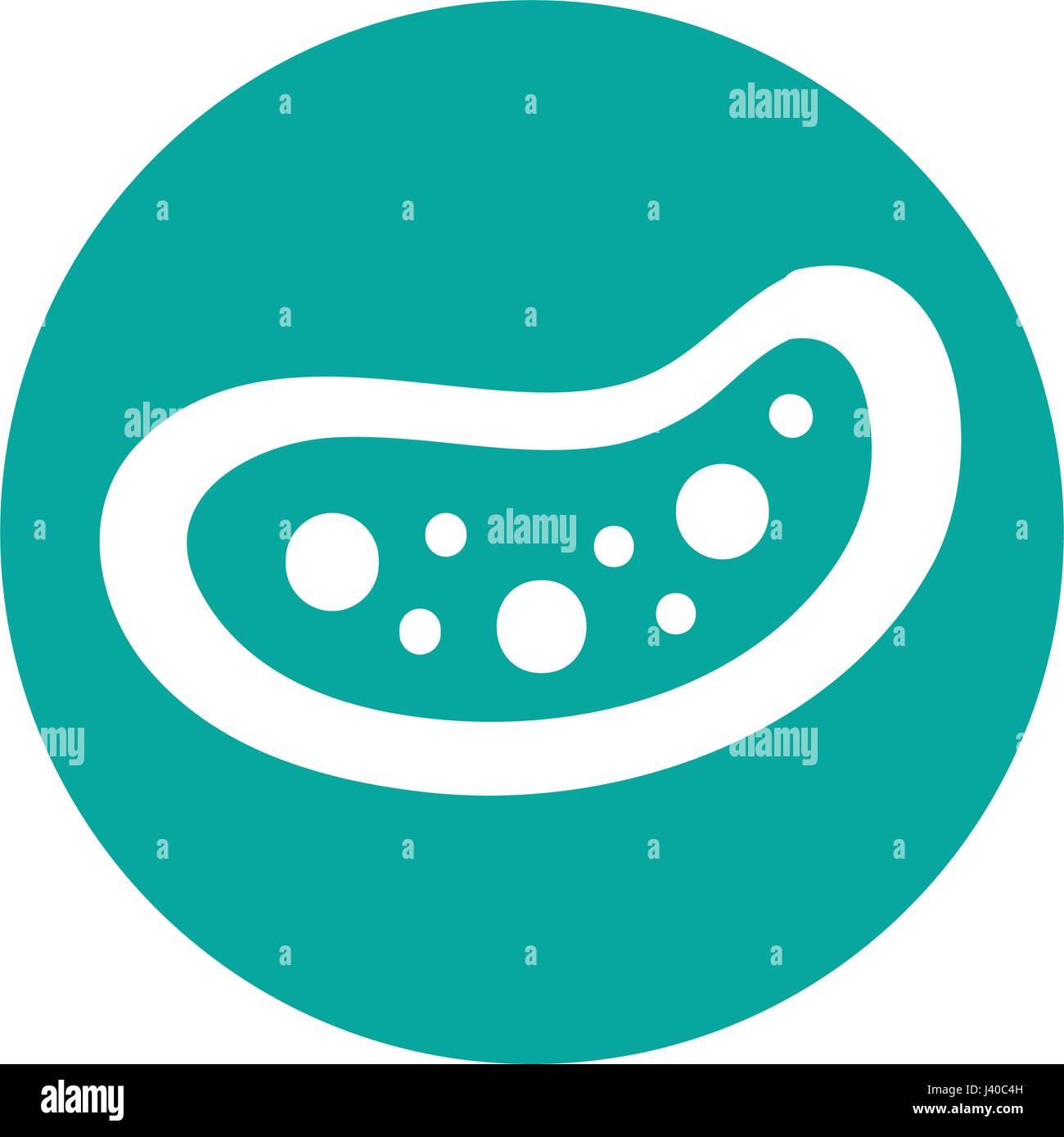 Bacterial cell structure icon Stock Vector Image & Art - Alamy