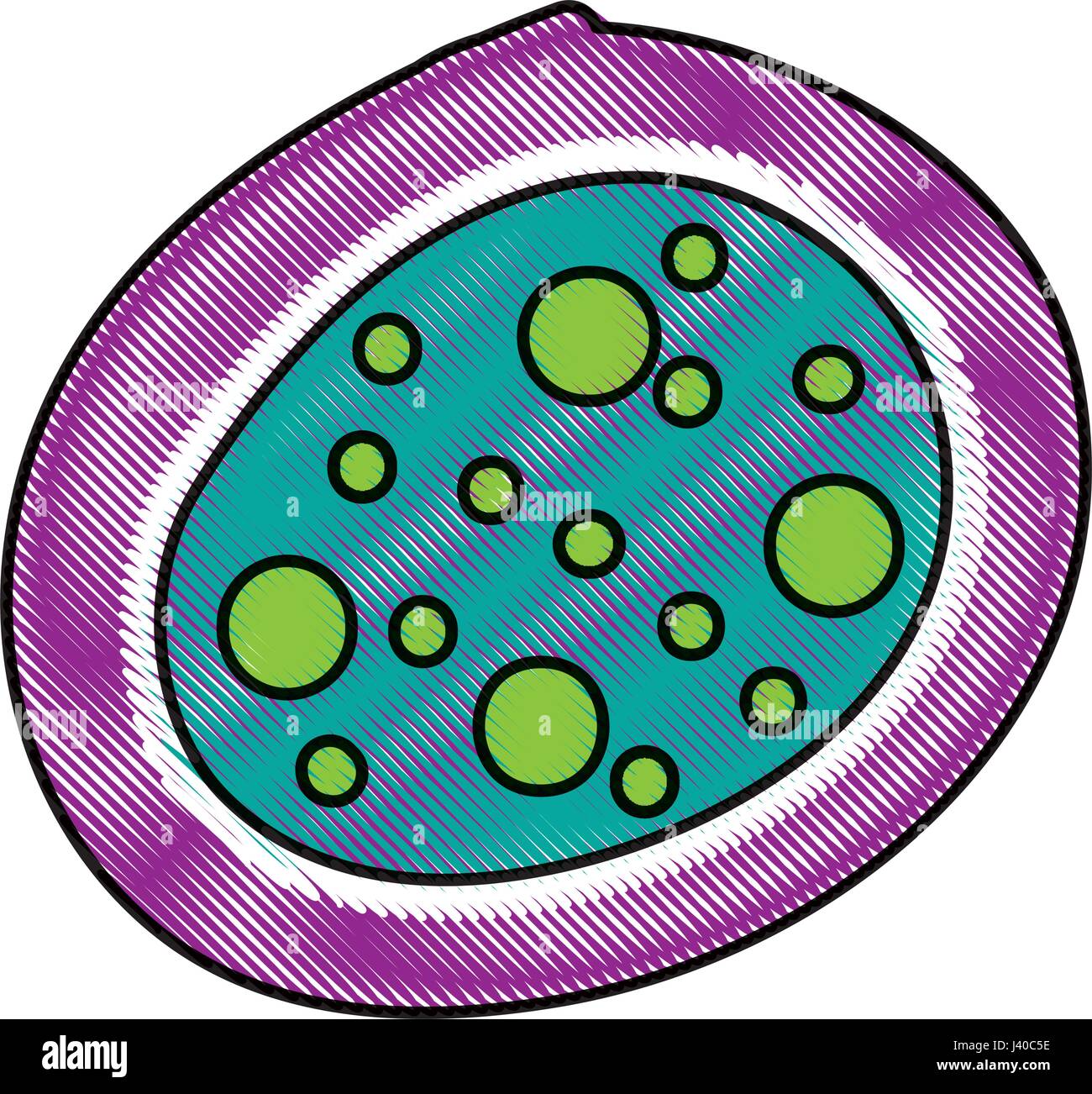 Bacterial cell structure icon Stock Vector Image & Art - Alamy
