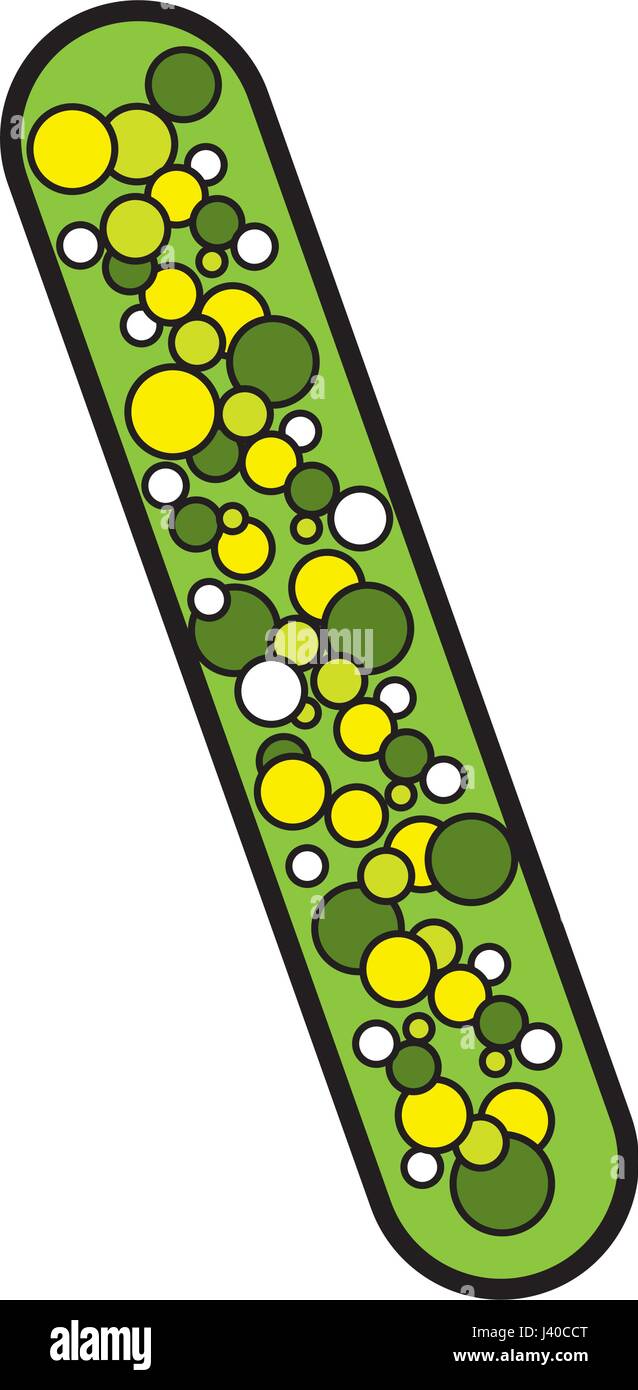 Bacterial cell structure icon Stock Vector Image & Art - Alamy