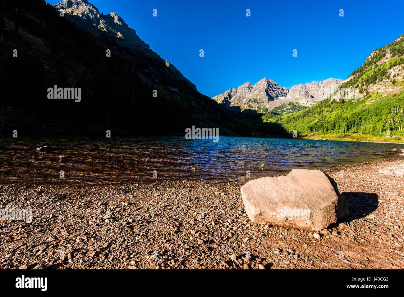 Large maroon leaves hi-res stock photography and images - Alamy