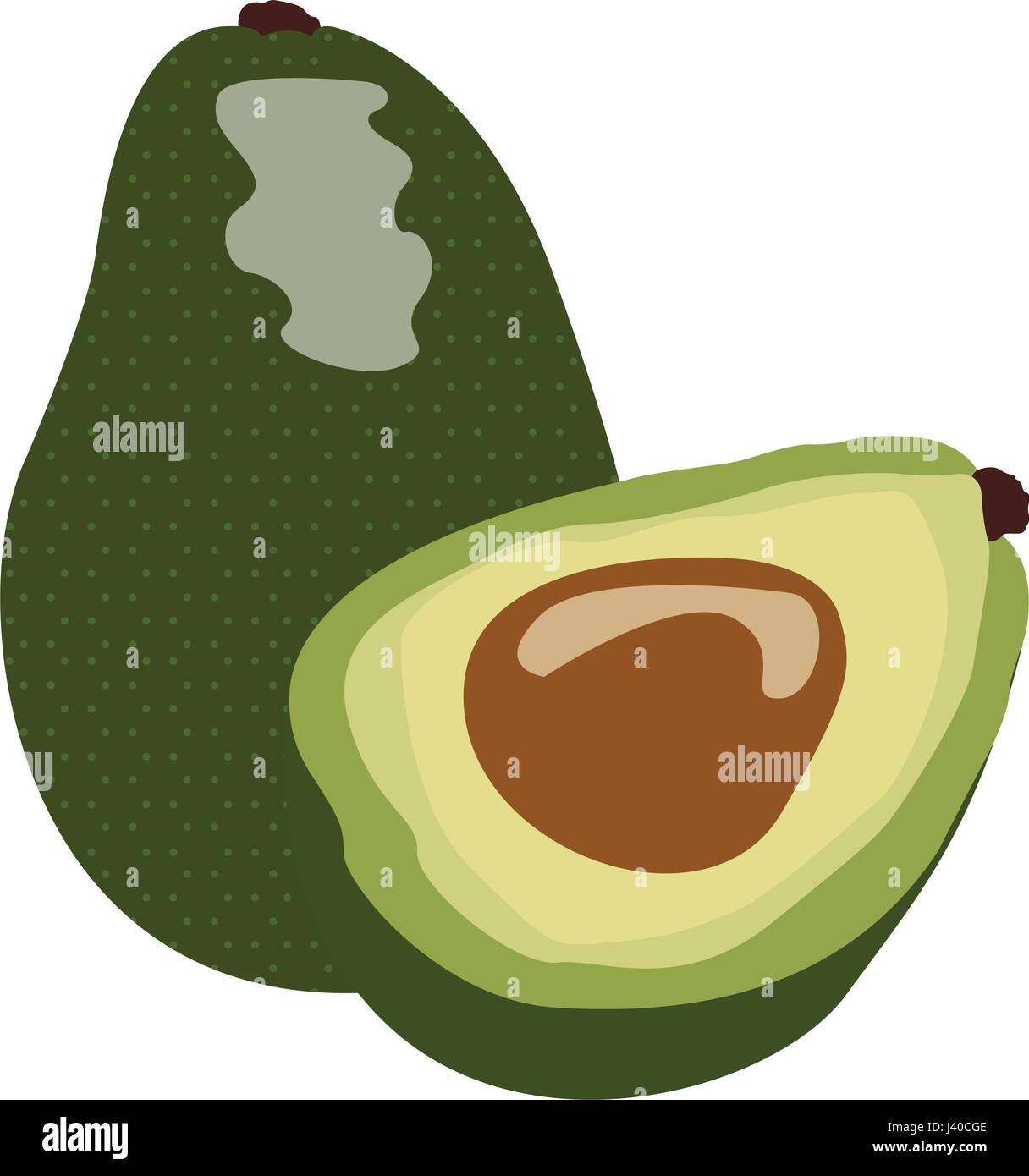 Isolated pair of avocados Stock Vector Image & Art - Alamy
