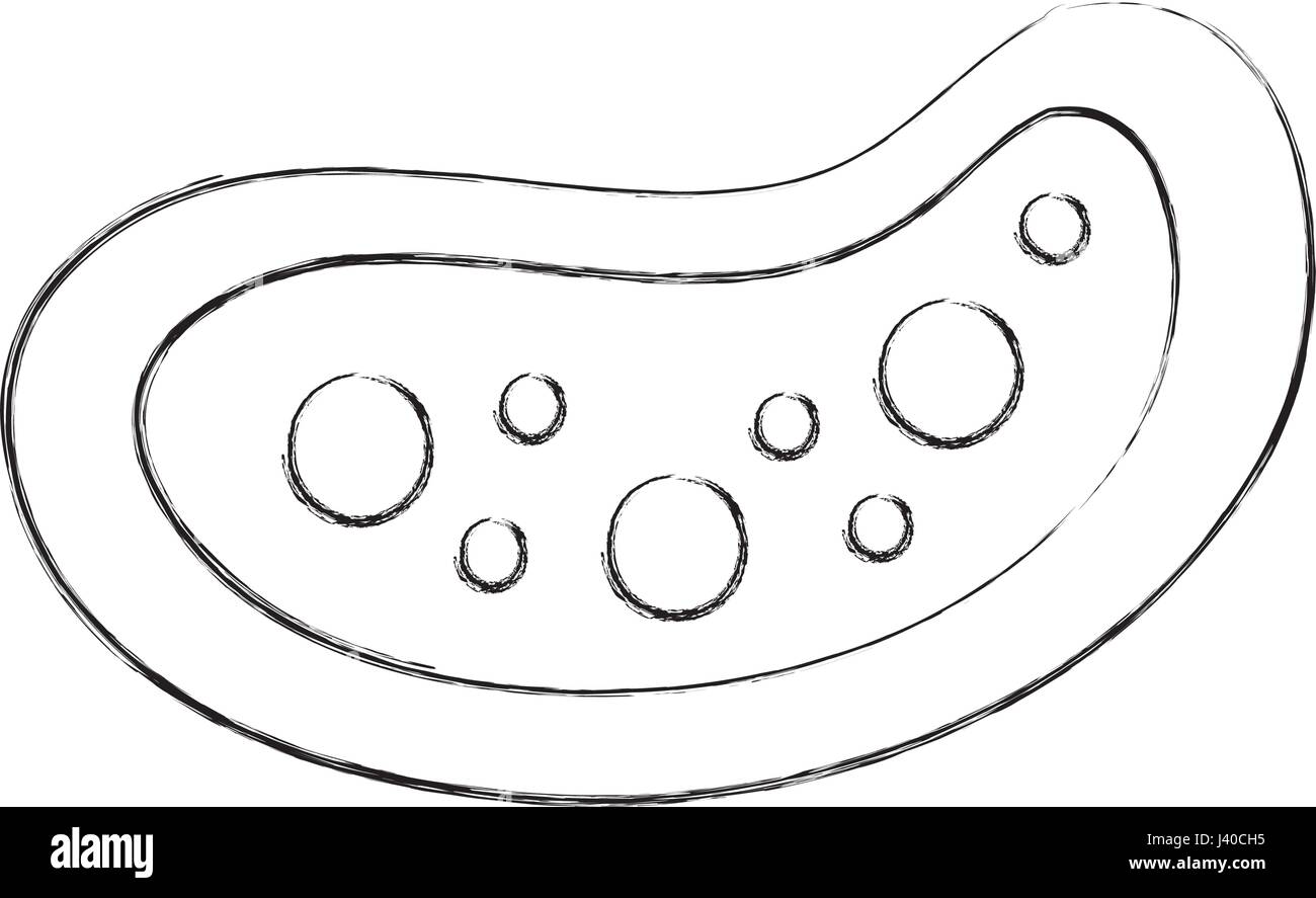 Bacterial cell structure icon Stock Vector Image & Art - Alamy