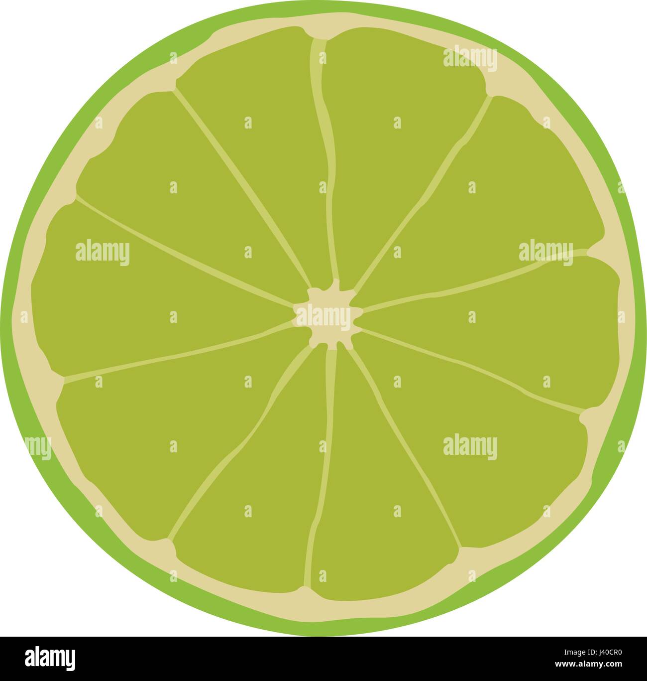 Isolated lemon cut Stock Vector Image & Art - Alamy
