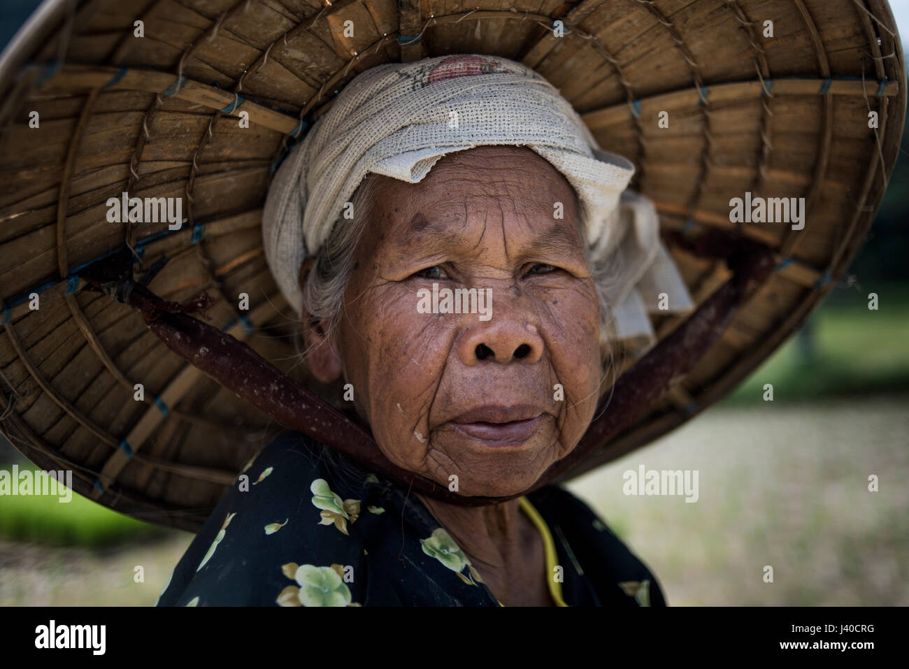 Portrait of a female rice field worker at the Harau Valley, Sumatra ...