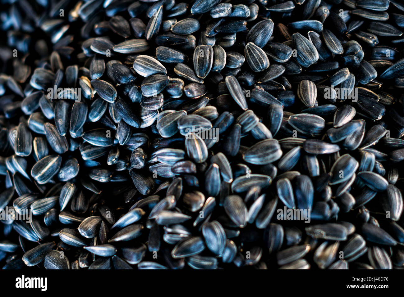 Black sunflower seeds. For texture or background Stock Photo - Alamy