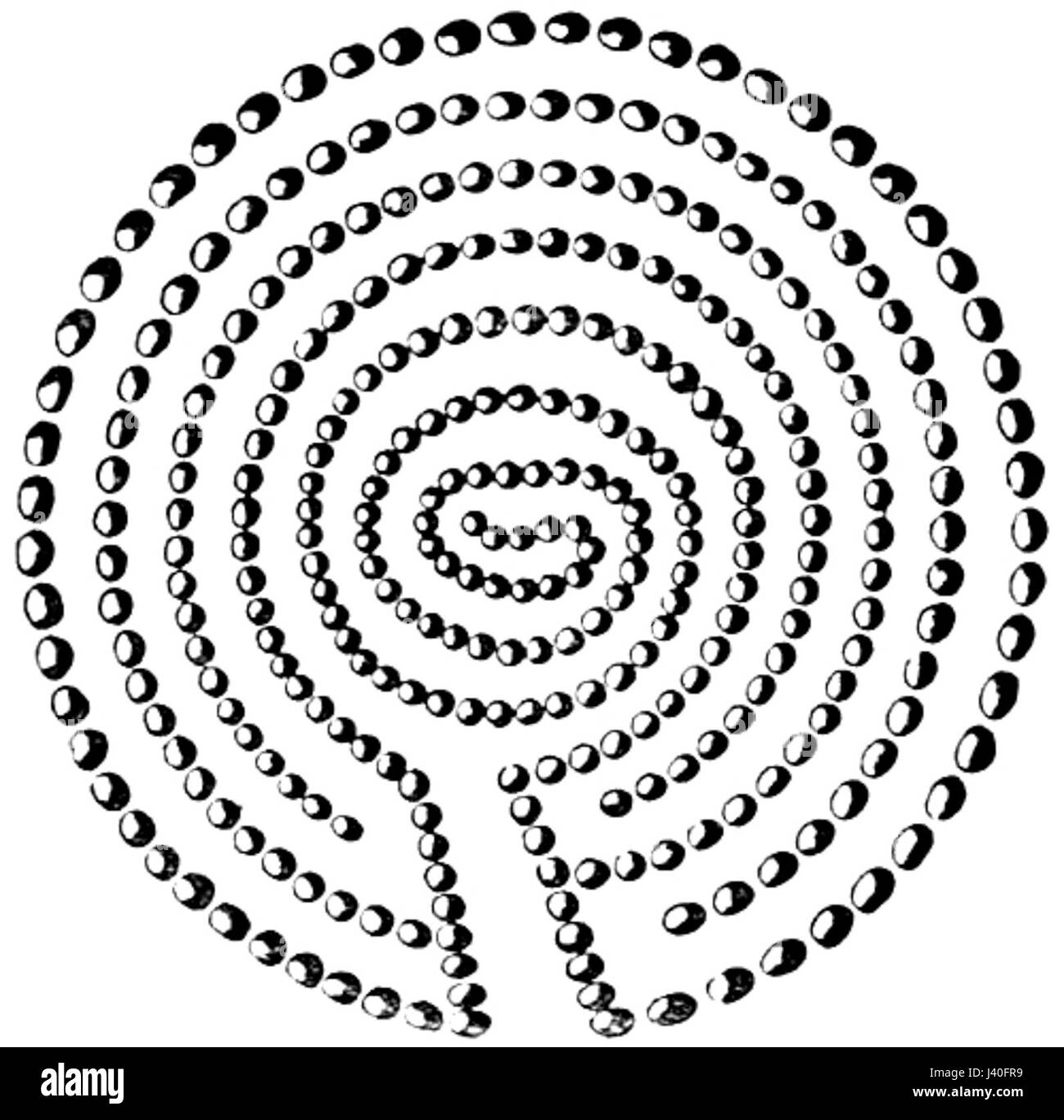 Maze architecture Black and White Stock Photos & Images - Alamy